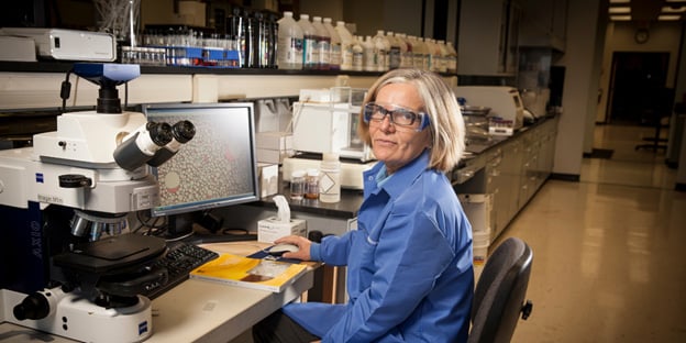 The Science Behind Synthetic Lubricants: Benefits and Performance ...