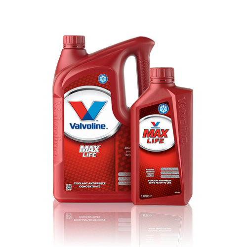 Maxlife Coolant AF - Valvoline™ Global Middle East & Africa - English